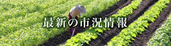 shikyo | 東亜青果株式会社